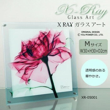 　ギフト対応について　楽天国際配送対象店舗 （海外配送）　Rakuten International Shipping&nbsp;X RAY ガラス アート ティール ローズ Mサイズ XR-05001レントゲンモチーフが美しいモダンガラス...