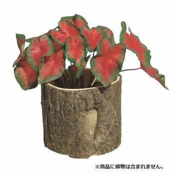 　ギフト対応について　楽天国際配送対象店舗 （海外配送）　Rakuten International Shipping&nbsp;フラワーポット 86270お庭や玄関先にぴったり!【フラワーポット 86270】 fk094igrjs 自然に...