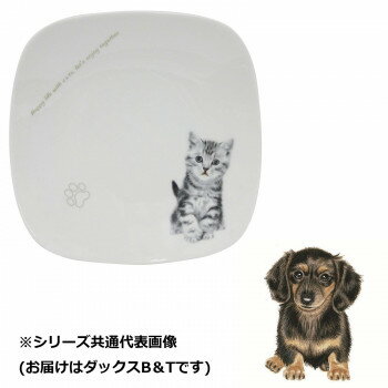 　ギフト対応について　楽天国際配送対象店舗 （海外配送）　Rakuten International Shipping&nbsp;わんコレ スクエアプレート(大) ダックスB＆T wa-psql-S23おしゃれな角丸、深さのあるプレート【わ...