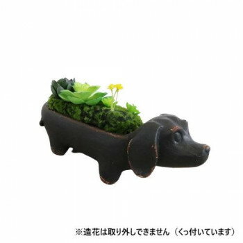 &nbsp;置物 犬 ダックスフンド アレンジフラワー 1512TWO001黒のダックスフンドに造花が付いたかわいいオブジェ【置物 犬 ダックスフンド アレンジフラワー 1512TWO001】 fk094igrjs リビング・玄関・机の上・...
