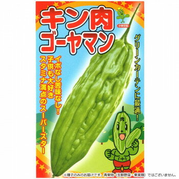 &nbsp;小林種苗 ニガウリ種子 キン肉ゴーヤマン 26 100粒イボなし苦味なし!子供も大好きスタミナ満点のスーパースター!【小林種苗 ニガウリ種子 キン肉ゴーヤマン 26 100粒】 fk094igrjs ハウス栽培からトンネル栽培、...