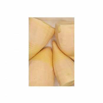 &nbsp;タチバナ食品 たけのこ缶 筒B大1(10-15玉) 11kgたけのこ缶【タチバナ食品 たけのこ缶 筒B大1(10-15玉) 11kg】 栄養成分【100gあたり】エネルギー:22kcalたんぱく質:2.7g脂質:0.2g炭水化物...