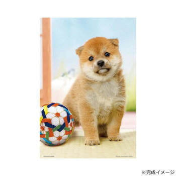 　ギフト対応について　楽天国際配送対象店舗 （海外配送）　Rakuten International Shipping&nbsp;ビバリー ジグソーパズル Yusuke Yuzawa / ANIMAL LAGOON まんまる柴犬 300ピー...