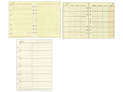 商品名 バインデックス Bindex / Bindex Refill リフィル フリーマンスリー/フリーウィークリー/アドレス 2（A5サイズ） メーカー国 日本 メーカー名 バインデックス Bindex 仕様 ■入数：マンスリー(1年分)...