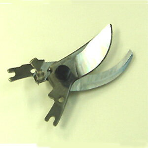 適合本体 ●V-8PROブイエイトプロは、切れ味・耐久性ともに、プロの酷使に耐える専門家仕様の剪定鋏。 ワイドな刃の開きを活かした剪定作業が可能です。 経済的な替刃式で、あらゆるシーンに威力を発揮するプロに最適な逸品です。