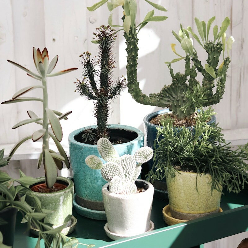 商品画像はサイズ共通の場合がございますのでご了承ください。 ■サイズ：外寸高さ95mm 　　上部：直径φ105mm 内径φ80mm 　　 底部：直径φ80mm 内径φ70mm 　　受皿：H.18mm φ100mm 　　底穴あり ■材質：テラ...