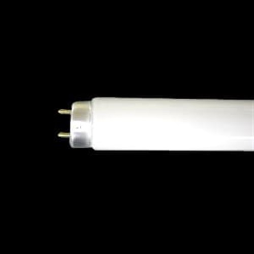 NEC FL32SD25 直管蛍光灯 グロースタータ形 32W 昼光色●グロースターターを使用する、最も一般的な蛍光ランプです。●省電力形は管径28mmのガラス管を採用することにより、明るさや寿命は一般形と同じで消費電力を4?5%節電(NE...