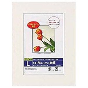 ナカバヤシ Vカットマット台紙 Digio (L判/ホワイト) DGVM-L-W●プリントの色あせを防止するUVカットシート付き。●スタンド・壁掛け兼用タイプでシャープなカットがプリントを引き立てます。
