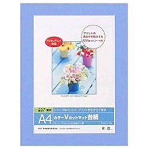 ナカバヤシ Vカットマット台紙 Digio (A4/ブルー) DGVM-A4-B●プリントの色あせを防止するUVカットシート付き。●スタンド・壁掛け兼用タイプでシャープなカットがプリントを引き立てます。