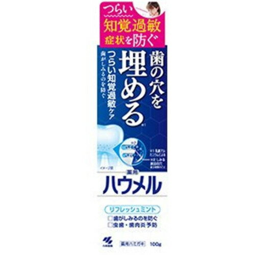 ※画像はイメージです。パッケージデザイン等は予告なしに変更されることがあります。※メーカーの欠品や製造中止により納期遅延、またはお届けできない場合がございます。小林製薬 ハウメル 100g 発売日：2021年4月中旬●歯がしみるのを防ぐ、虫...