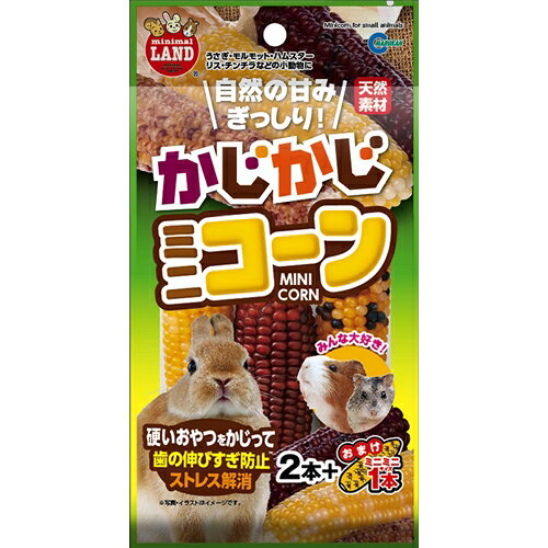※画像はイメージです。パッケージデザイン等は予告なしに変更されることがあります。※メーカーの欠品や製造中止により納期遅延、またはお届けできない場合がございます。マルカン MR‐785　 かじかじミニコーン 2本＋おまけ1本 発売日：2016...