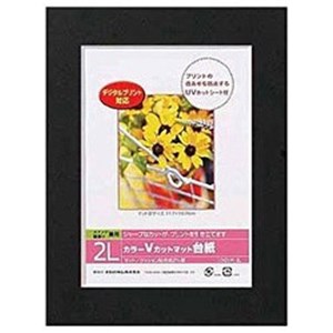 ナカバヤシ Vカットマット台紙 Digio (2L/ブラック) DGVM-2L-D●プリントの色あせを防止するUVカットシート付き。●スタンド・壁掛け兼用タイプでシャープなカットがプリントを引き立てます。