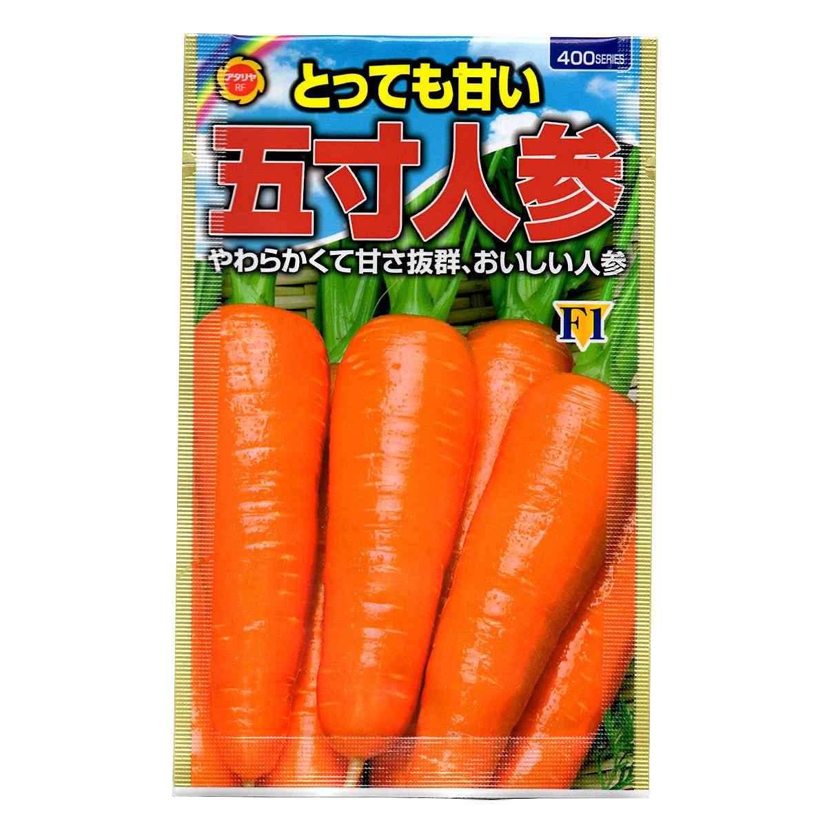 ※こちらは種子になります※在庫不足の場合メーカーより取り寄せになります。※メーカー欠品の場合、勝手ながらご注文をキャンセルまたは数量を変更させていただきます。春・夏まき兼用で、トウ立ちが遅いのが特長です。根は円筒形で、肌色・芯色ともに鮮やか...