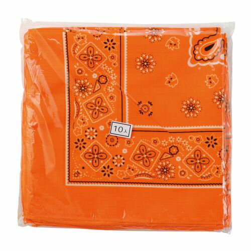 ↑↑↑正確な在庫状況は上記バナー「在庫状況を確認する」をクリックして頂き、必ずご確認ください。&nbsp;&nbsp;■10枚入りお得セット※実際の商品は、写真の色と若干異なる場合がございます。予めご了承ください。商品サイズ : 約550×...