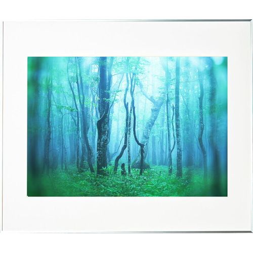 ↑↑↑正確な在庫状況は上記バナー「在庫状況を確認する」をクリックして頂き、必ずご確認ください。&nbsp;&nbsp;■写真展では定番な作品額。■フォーマルな場所にも最適です。■シンプルなフレームと厚手Vカット台紙が作品を際立たせ、ゆったり...