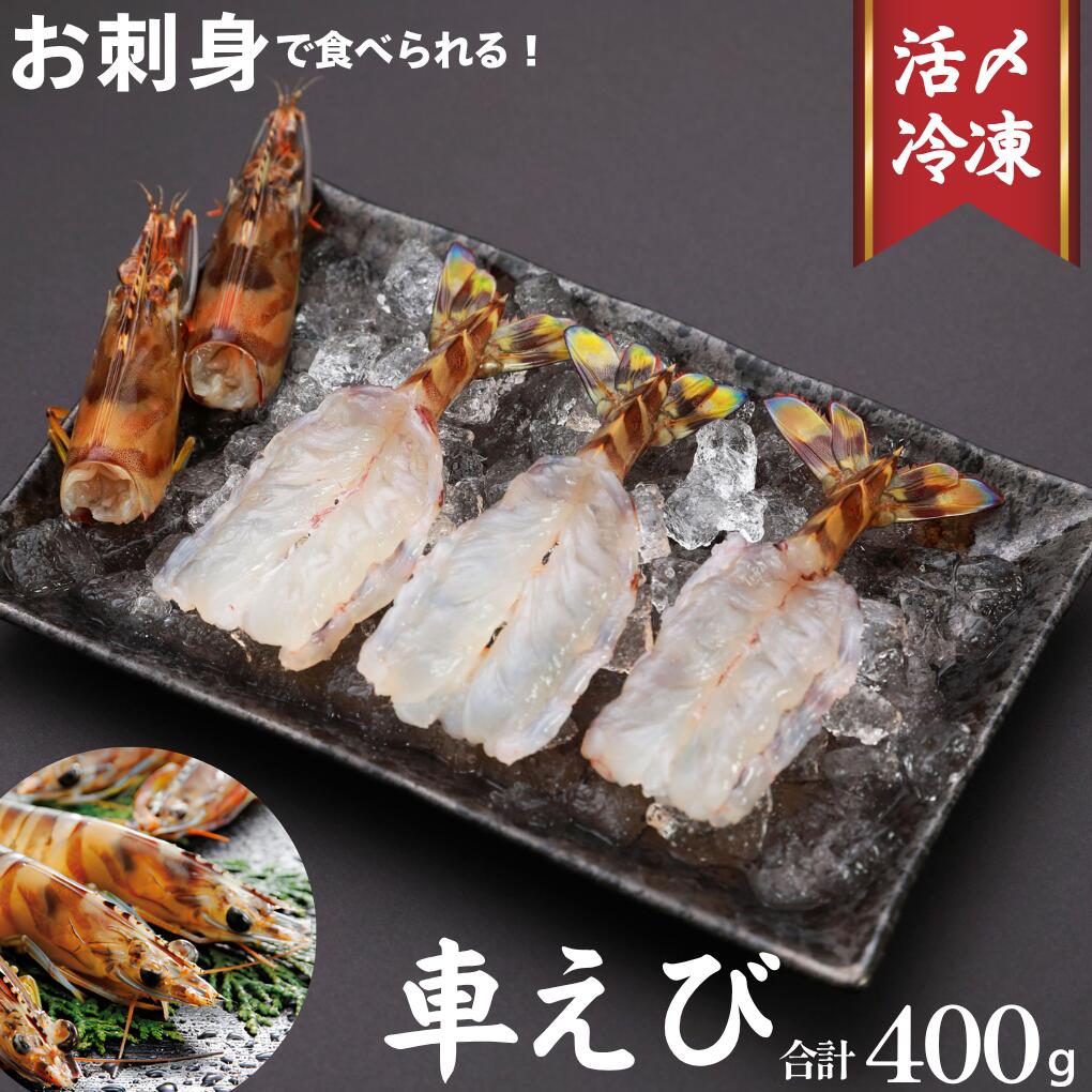 名称 活き〆超急速冷凍車えび(養殖) 原材料 車海老　養殖(山口県産) 内容量 400g 産地名 山口県秋穂産 養殖・解凍 解凍 消費期限 別途商品ラベルに記載 保存方法 冷凍(-18℃以下)で保存してください。 加熱調理の必要性 解凍後生...