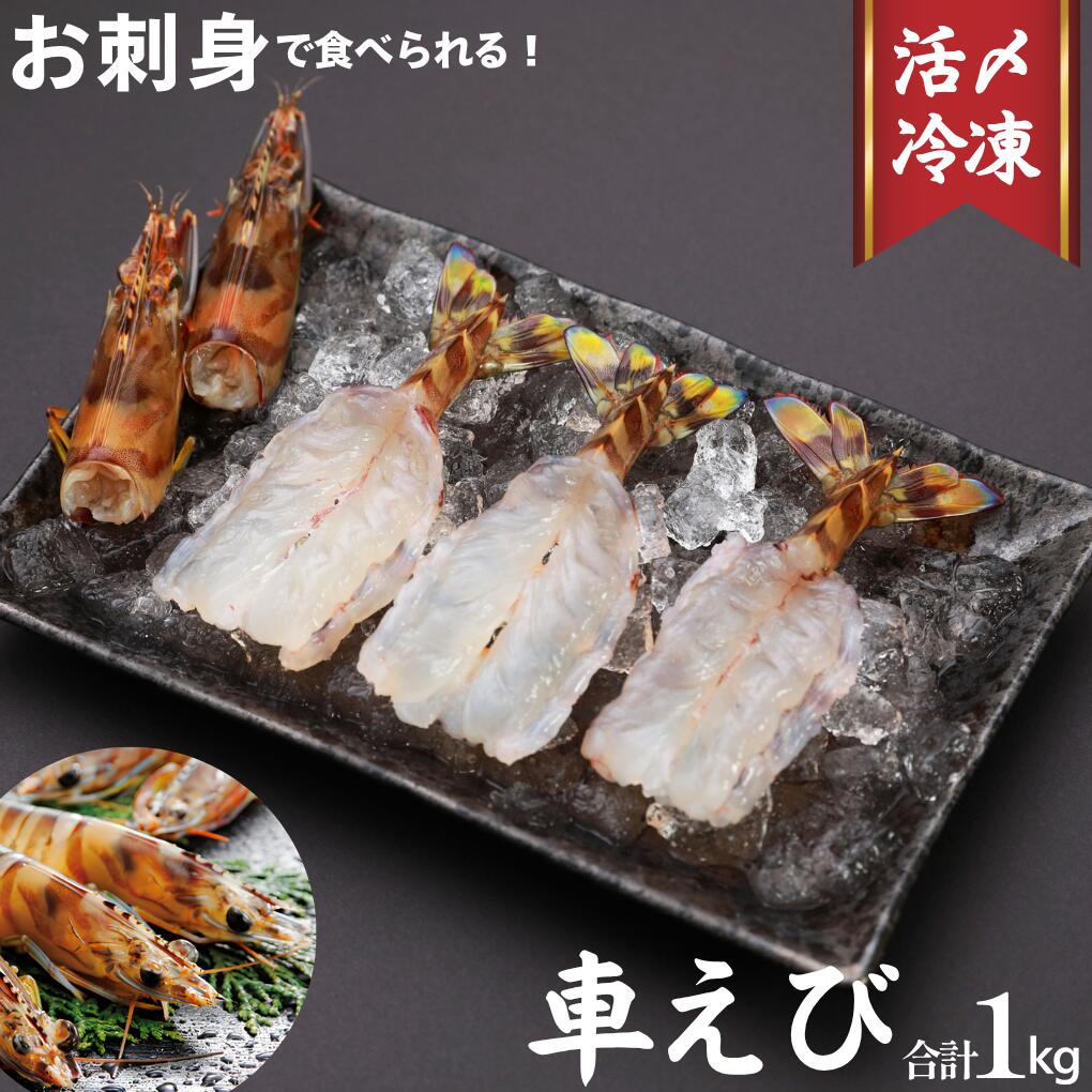 名称 活き〆超急速冷凍車えび(養殖) 原材料 車海老　養殖(山口県産) 内容量 1kg 産地名 山口県秋穂産 養殖・解凍 解凍 消費期限 別途商品ラベルに記載 保存方法 冷凍(-18℃以下)で保存してください。 加熱調理の必要性 解凍後生食...