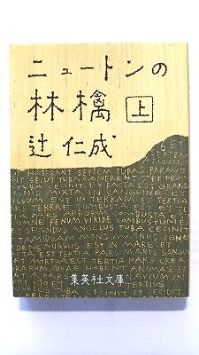 商品状態：コンディション：中古品-非常に良いJANコード：9784087470574タイトル：ニュートンの林檎 上 (集英社文庫)著者：辻仁成出版社：集英社発売日：1999年352pページ