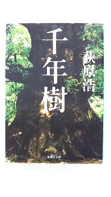 商品状態：コンディション：中古品 - 良いJANコード：9784087465433タイトル：千年樹 集英社 荻原浩タイトルカナ：センネンジュ著者：荻原浩著者カナ：オギワラ、ヒロシ出版社：集英社出版社カナ：シユウエイシヤ発売日：2010年3月...