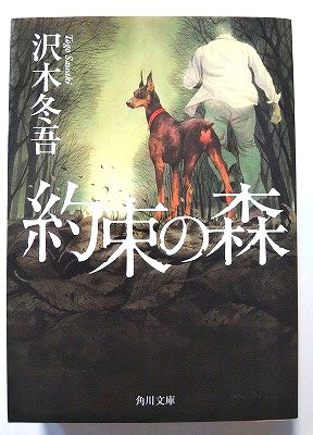 商品状態：送料無料 クリックポスト発送で追跡番号付 土日祝日も配送可能 まれに日焼けやスレ、折り痕などがあるものもあります。コンディション：中古品-良いJANコード：9784041017784タイトル：約束の森 (KADOKAWA文庫)著者...