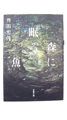 商品状態：コンディション：中古品-非常に良いJANコード：9784575514643タイトル：森に眠る魚 (双葉文庫)著者：角田 光代出版社：双葉社発売日：2011年11月10日456ページ