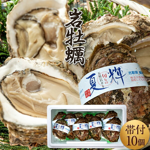 天草えび屋トップページへ【お届けについて注意事項】※岩牡蠣は悪天が続き漁が中止となった場合は発送を見送らせて頂く場合もございます。 ※ご注文日より最短で約7日後に出荷予定でございます。 当店より通常商品出荷後の夕方頃に「発送連絡メール」を送...
