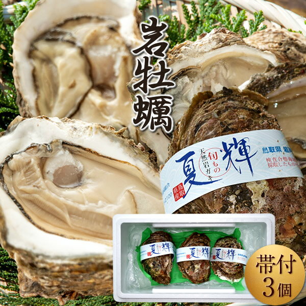天草えび屋トップページへ【お届けについて注意事項】 ※岩牡蠣は悪天が続き漁が中止となった場合は発送を見送らせて頂く場合もございます。 ※ご注文日より最短で約7日後に出荷予定でございます。 当店より通常商品出荷後の夕方頃に「発送連絡メール」を...