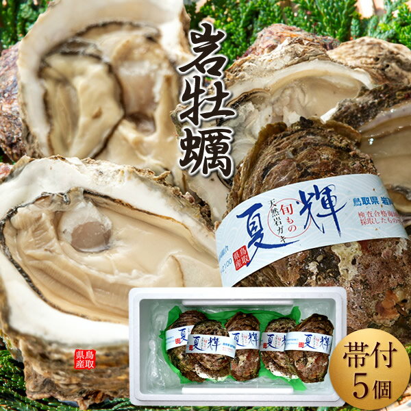 天草えび屋トップページへ【お届けについて注意事項】 ※岩牡蠣は悪天が続き漁が中止となった場合は発送を見送らせて頂く場合もございます。 ※ご注文日より最短で約7日後に出荷予定でございます。 当店より通常商品出荷後の夕方頃に「発送連絡メール」を...