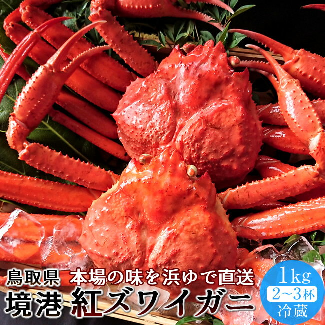天草えび屋トップページへ日本海 紅ズワイガニ漁解禁毎年9月に境港で解禁となりますが天候や水揚げ状況にもよります為、指定日不可にてご注文順のお届け予定とさせて頂きます。 水揚げ量日本一を誇るカニの本場 鳥取県は境港(さかいみなと)より、旬の紅...