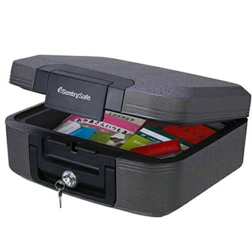 ↑↑↑正確な在庫状況は上記バナー「在庫状況を確認する」をクリックして頂き、必ずご確認ください。&nbsp;&nbsp;&nbsp;■防水性能が72時間と大幅に性能UP■台風や豪雨などの水害から守る防水性能■ETLデジタルメディア耐火性能テス...