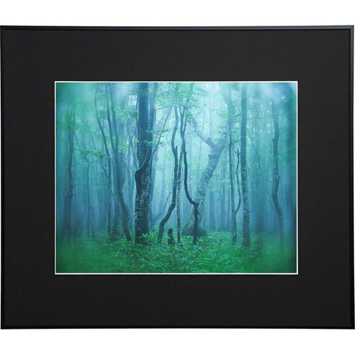 ↑↑↑正確な在庫状況は上記バナー「在庫状況を確認する」をクリックして頂き、必ずご確認ください。&nbsp;&nbsp;&nbsp;■写真展では定番な作品額。■フォーマルな場所にも最適です。■シンプルなフレームと厚手Vカット台紙が作品を際立た...