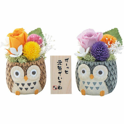 ↑↑↑正確な在庫状況は上記バナー「在庫状況を確認する」をクリックして頂き、必ずご確認ください。&nbsp;&nbsp;&nbsp;■プリザーブドフラワーアレンジ×2■木札、クリアケース付きプリザーブドフラワーとは、生花を特殊加工して、鮮やか...