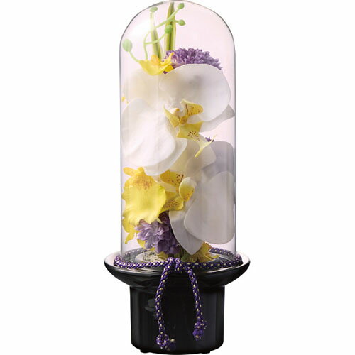 ↑↑↑正確な在庫状況は上記バナー「在庫状況を確認する」をクリックして頂き、必ずご確認ください。&nbsp;&nbsp;&nbsp;■植物と器は固定されています■ガラスドームは取外し可能お手入れはガラスドームを拭くだけ。花にホコリが付くことが...