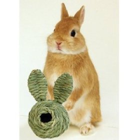 &nbsp;メーカー&nbsp;KAWAI&nbsp;商品カテゴリ&nbsp;小動物＞おもちゃ&nbsp;発送目安&nbsp;2日〜3日以内に発送予定（土日祝除）&nbsp;お支払方法&nbsp;銀行振込・クレジットカード&nbsp;送料&...