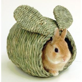 &nbsp;メーカー&nbsp;KAWAI&nbsp;商品カテゴリ&nbsp;小動物＞飼育ケージ・アクセサリ&nbsp;発送目安&nbsp;2日〜3日以内に発送予定（土日祝除）&nbsp;お支払方法&nbsp;銀行振込・クレジットカード&n...