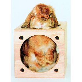 &nbsp;メーカー&nbsp;川井&nbsp;商品カテゴリ&nbsp;小動物＞飼育ケージ・アクセサリ&nbsp;発送目安&nbsp;2日〜3日以内に発送予定（土日祝除）&nbsp;お支払方法&nbsp;銀行振込・クレジットカード&nbsp...