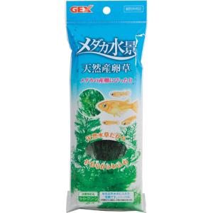 &nbsp;メーカー&nbsp;GEX(ジェックス)&nbsp;商品カテゴリ&nbsp;水槽・アクアリウム＞繁殖用タンク&nbsp;発送目安&nbsp;3日〜4日以内に発送予定（土日祝除）&nbsp;お支払方法&nbsp;銀行振込・クレジッ...
