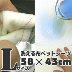 &nbsp;メーカー&nbsp;ジャンプ&nbsp;商品カテゴリ&nbsp;犬用トイレ・衛生用品＞トイレシート&nbsp;発送目安&nbsp;1〜2週間以内に発送予定&nbsp;お支払方法&nbsp;銀行振込・クレジットカード&nbsp;送...