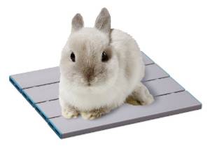 &nbsp;メーカー&nbsp;マルカン&nbsp;商品カテゴリ&nbsp;小動物＞飼育ケージ・アクセサリ&nbsp;発送目安&nbsp;2日〜3日以内に発送予定（土日祝除）&nbsp;お支払方法&nbsp;銀行振込・クレジットカード&nb...