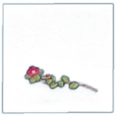 &nbsp;メーカー&nbsp;ARTEC&nbsp;商品カテゴリ&nbsp;エプロン・キッチンファブリック＞ランチョンマット&nbsp;発送目安&nbsp;2日〜3日以内に発送予定（土日祝除）&nbsp;お支払方法&nbsp;銀行振込・ク...