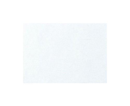 &nbsp;メーカー&nbsp;ARTEC&nbsp;商品カテゴリ&nbsp;エプロン・キッチンファブリック＞ランチョンマット&nbsp;発送目安&nbsp;2日〜3日以内に発送予定（土日祝除）&nbsp;お支払方法&nbsp;銀行振込・ク...