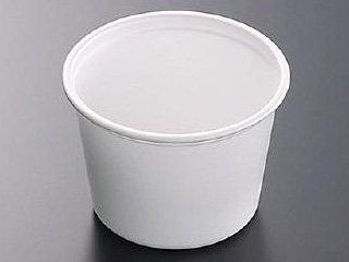 &nbsp;メーカー&nbsp;中央化学&nbsp;商品カテゴリ&nbsp;使い捨て食器＞プレート&nbsp;発送目安&nbsp;2日〜3日以内に発送予定（土日祝除）&nbsp;お支払方法&nbsp;銀行振込・クレジットカード&nbsp;送...