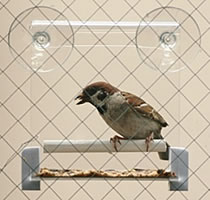 &nbsp;メーカー&nbsp;ペッズイシバシ&nbsp;商品カテゴリ&nbsp;鳥＞鳥かごアクセサリ&nbsp;発送目安&nbsp;2日〜3日以内に発送予定（土日祝除）&nbsp;お支払方法&nbsp;銀行振込・クレジットカード&nbsp...