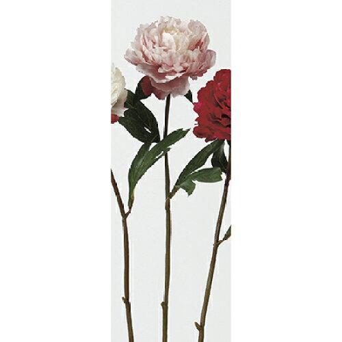 &nbsp;メーカー&nbsp;ASCA アスカ&nbsp;商品カテゴリ&nbsp;フラワー・観葉植物＞造花&nbsp;発送目安&nbsp;2日〜3日以内に発送予定（土日祝除）&nbsp;お支払方法&nbsp;銀行振込・クレジットカード&n...