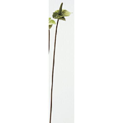 &nbsp;メーカー&nbsp;ASCA アスカ&nbsp;商品カテゴリ&nbsp;フラワー・観葉植物＞造花&nbsp;発送目安&nbsp;2日〜3日以内に発送予定（土日祝除）&nbsp;お支払方法&nbsp;銀行振込・クレジットカード&n...