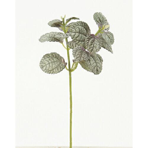 &nbsp;メーカー&nbsp;ASCA アスカ&nbsp;商品カテゴリ&nbsp;フラワー・観葉植物＞造花&nbsp;発送目安&nbsp;2日〜3日以内に発送予定（土日祝除）&nbsp;お支払方法&nbsp;銀行振込・クレジットカード&n...