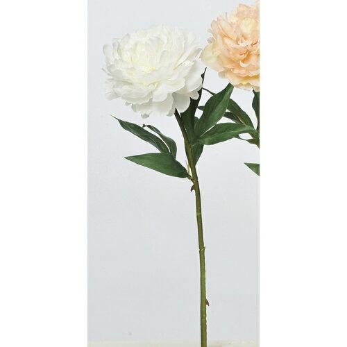 &nbsp;メーカー&nbsp;ASCA アスカ&nbsp;商品カテゴリ&nbsp;フラワー・観葉植物＞造花&nbsp;発送目安&nbsp;2日〜3日以内に発送予定（土日祝除）&nbsp;お支払方法&nbsp;銀行振込・クレジットカード&n...