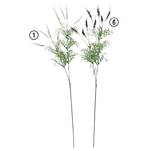 &nbsp;メーカー&nbsp;ASCA アスカ&nbsp;商品カテゴリ&nbsp;フラワー・観葉植物＞造花&nbsp;発送目安&nbsp;2日〜3日以内に発送予定（土日祝除）&nbsp;お支払方法&nbsp;銀行振込・クレジットカード&n...