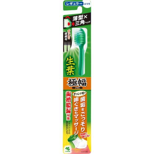 &nbsp;メーカー&nbsp;小林製薬&nbsp;商品カテゴリ&nbsp;歯ブラシ・アクセサリ＞大人用ハブラシ&nbsp;発送目安&nbsp;1週間以内に発送予定&nbsp;お支払方法&nbsp;銀行振込・クレジットカード&nbsp;送料...