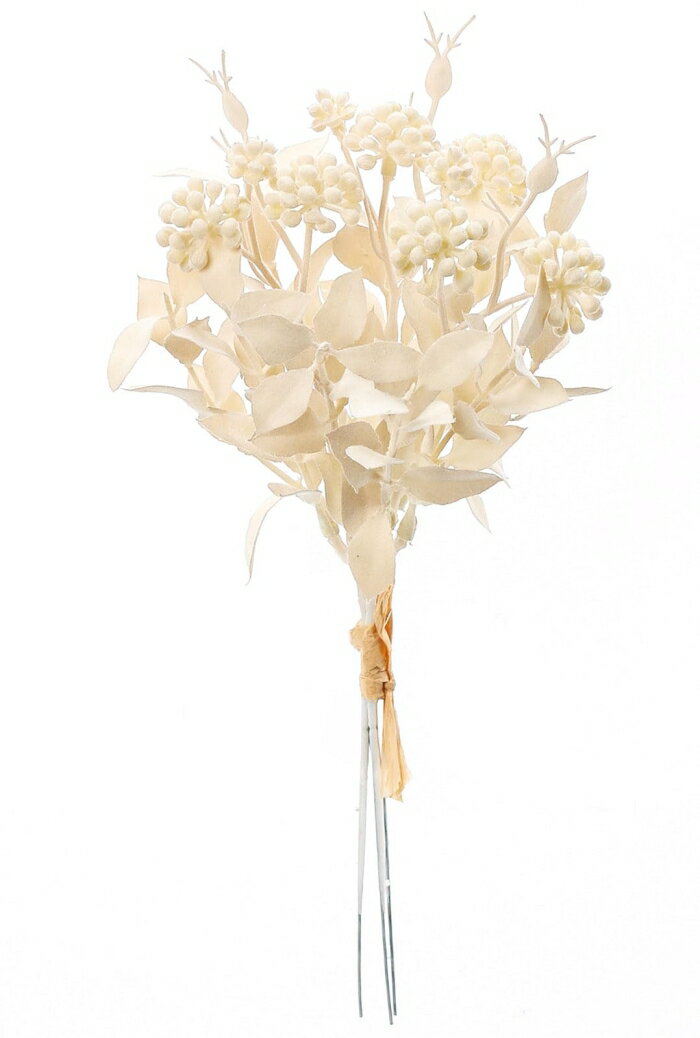 &nbsp;メーカー&nbsp;ASCA アスカ&nbsp;商品カテゴリ&nbsp;フラワー・観葉植物＞造花&nbsp;発送目安&nbsp;2日〜3日以内に発送予定（土日祝除）&nbsp;お支払方法&nbsp;銀行振込・クレジットカード&n...